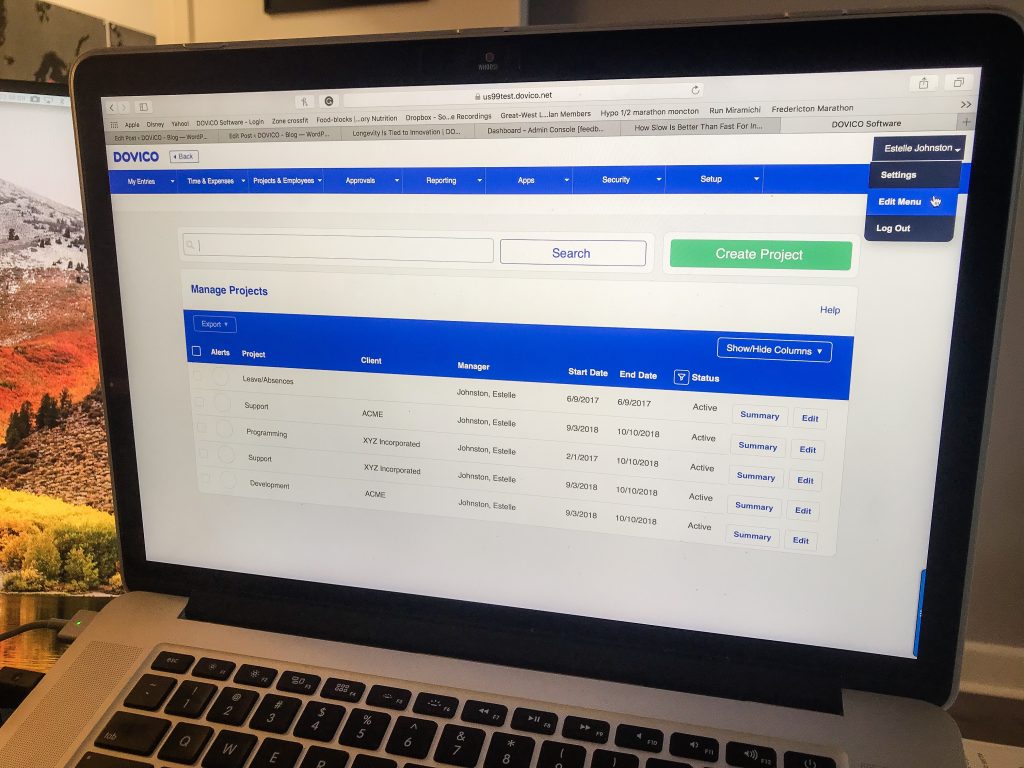 How to Optimize Your Timesheet Menu - Dovico Blog